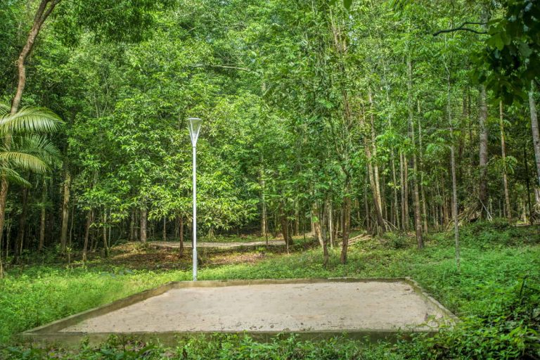 State Park Pahang | Endau Rompin| Rompin Park Pahang