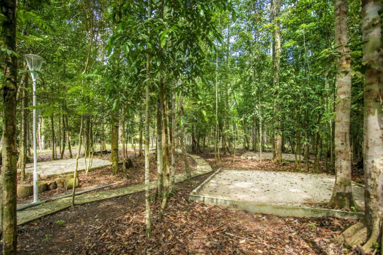 State Park Pahang | Endau Rompin| Rompin Park Pahang