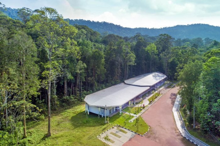 State Park Pahang | Endau Rompin| Rompin Park Pahang