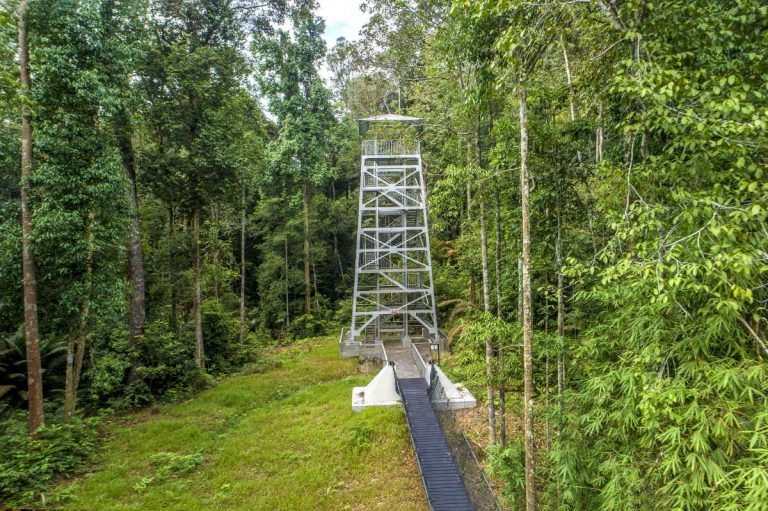 State Park Pahang | Endau Rompin| Rompin Park Pahang