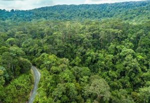 State Park Pahang | Endau Rompin| Rompin Park Pahang